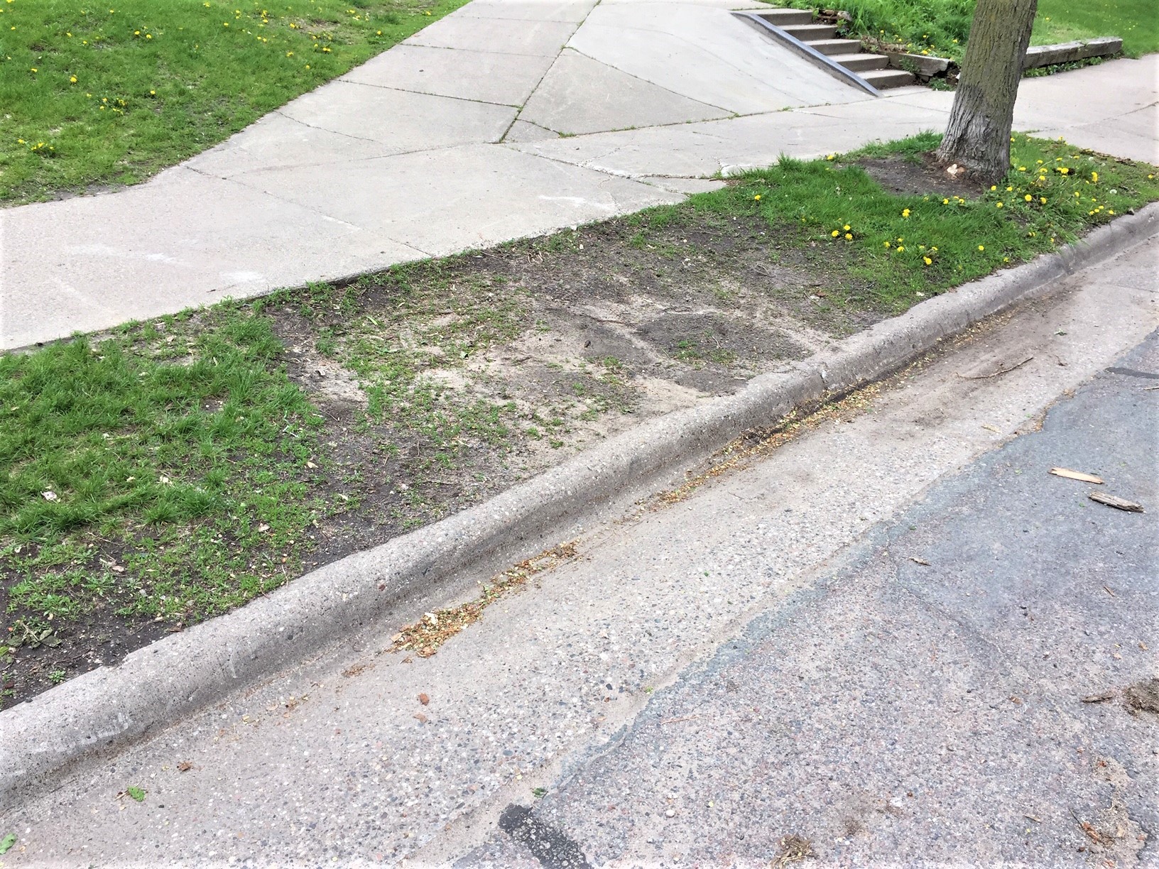 The sad deterioration of our parks – Southside Pride