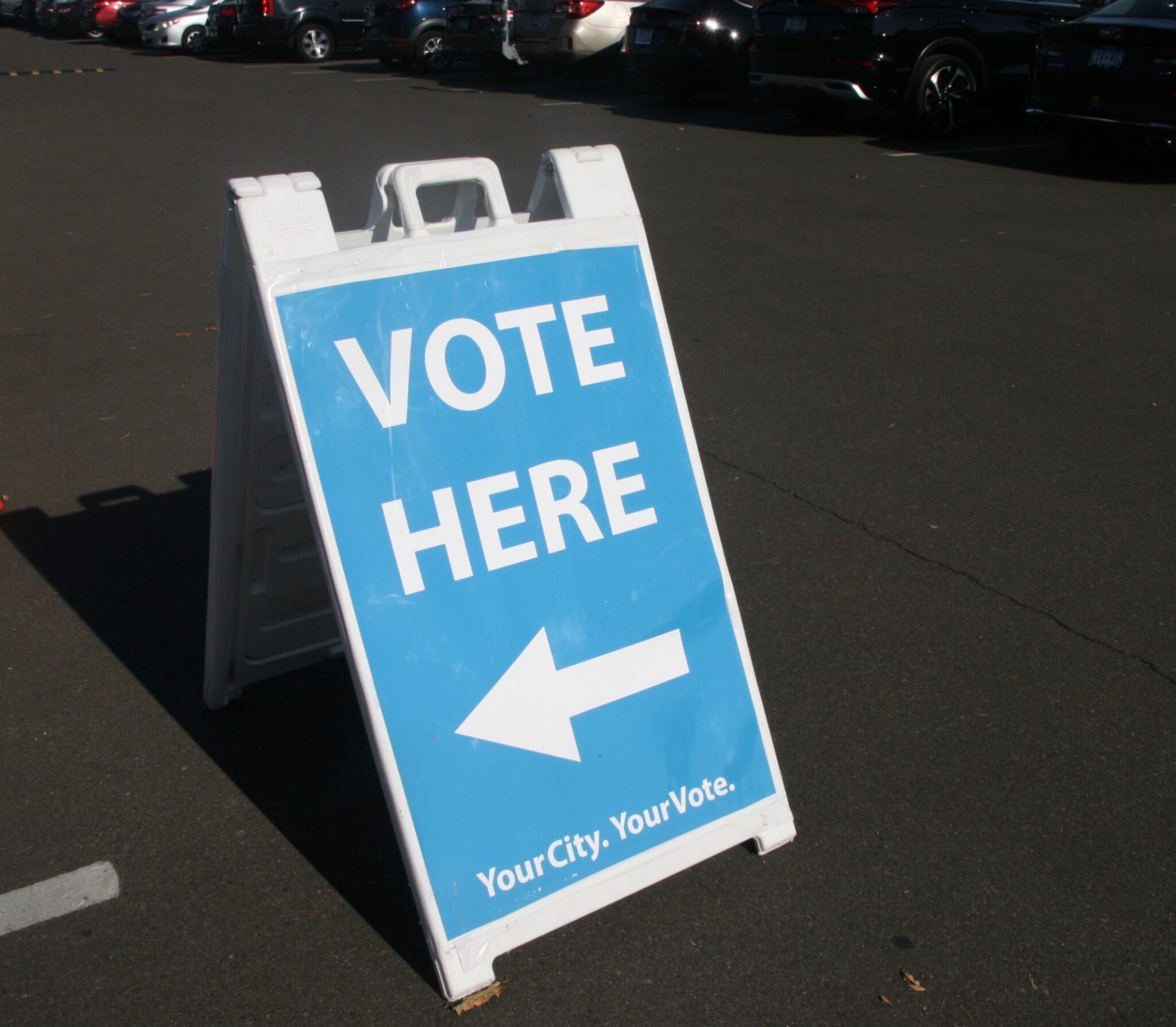 How the Minneapolis Voting Process Really Works – Southside Pride